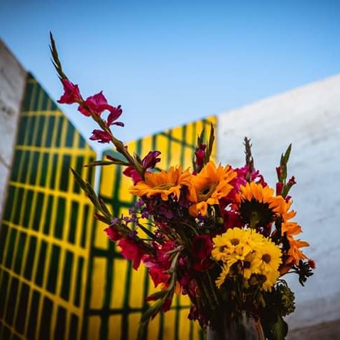 Alchemy – IAN ELMORE